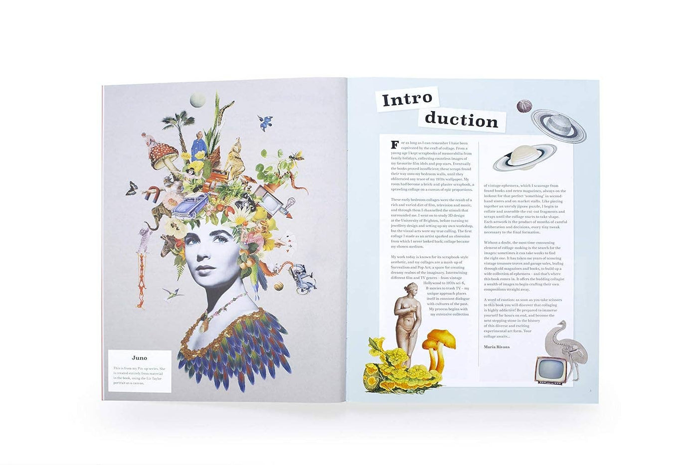 Extraordinary Things to Cut Out and Collage | BIMA Museum Store