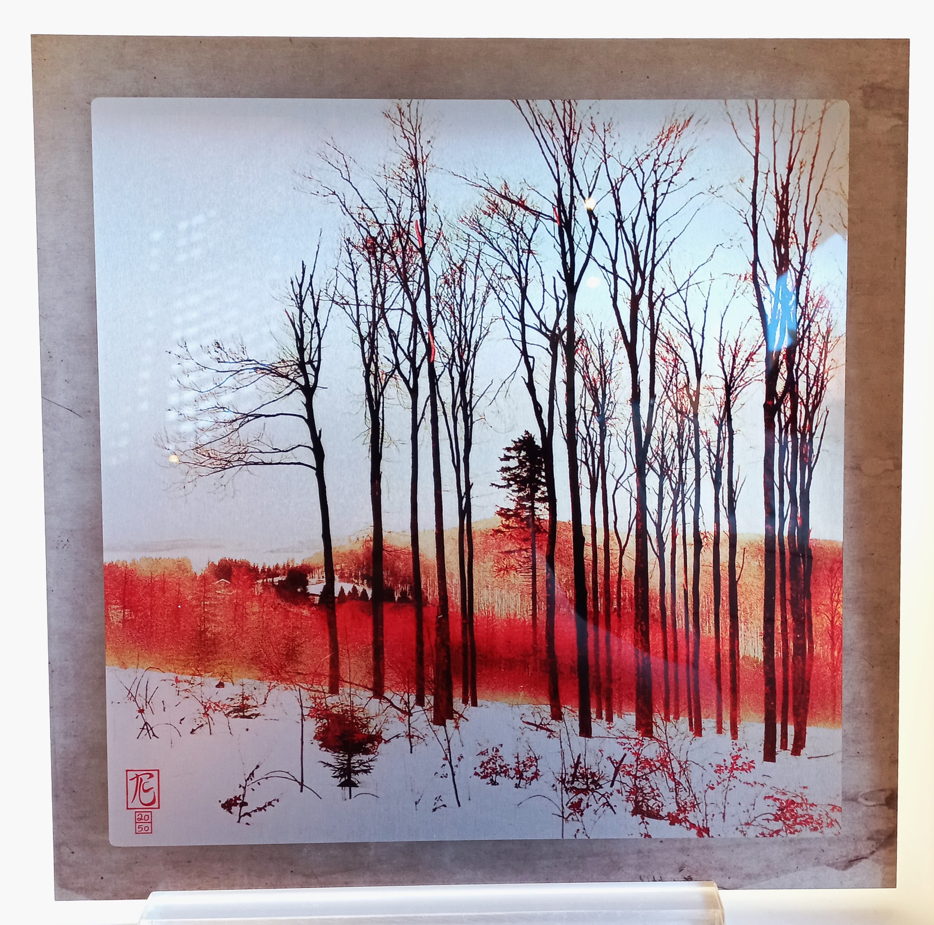 Aluminum Photo Prints by Jean-Claude Louis | BIMA Museum Store