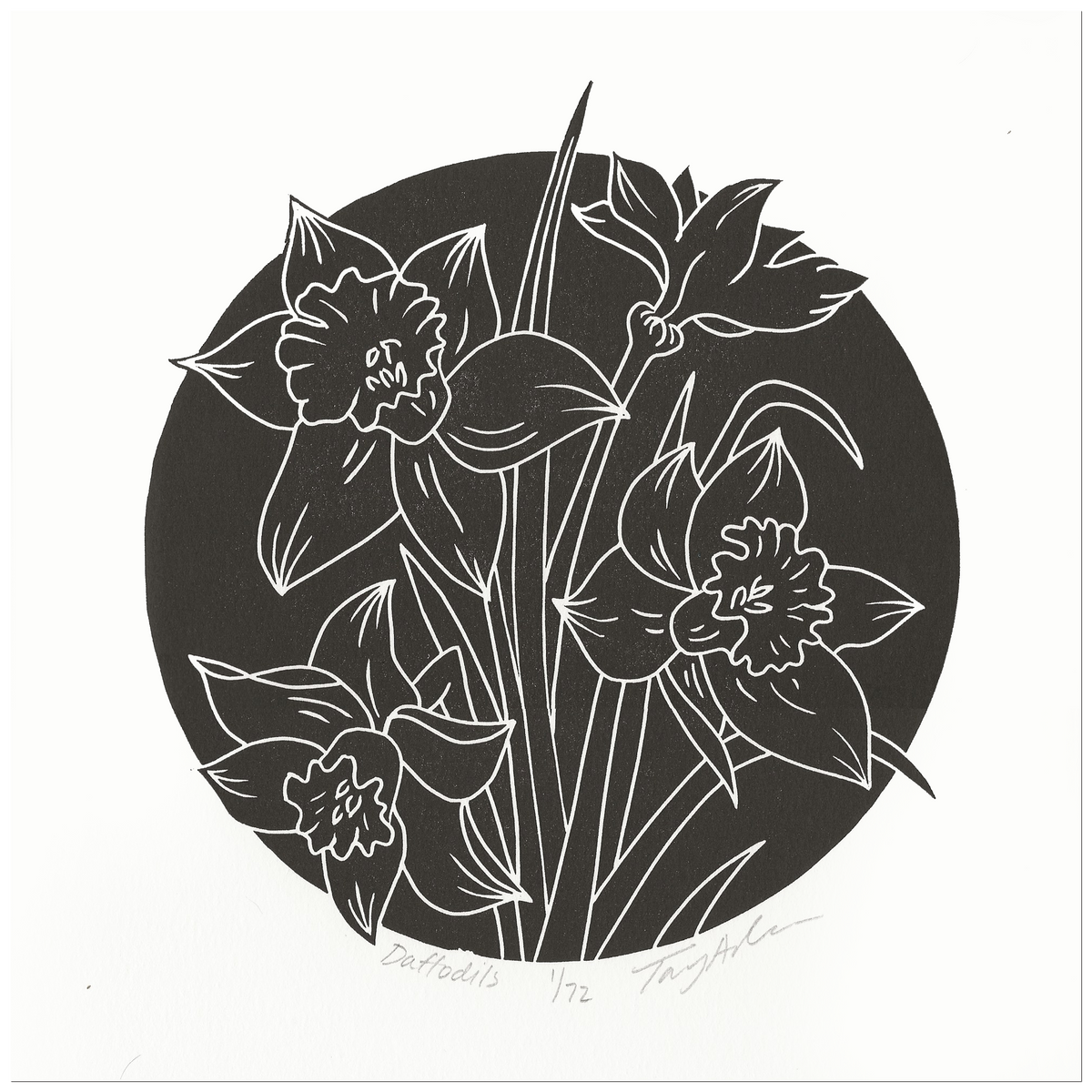 Daffodil | BIMA Museum Store