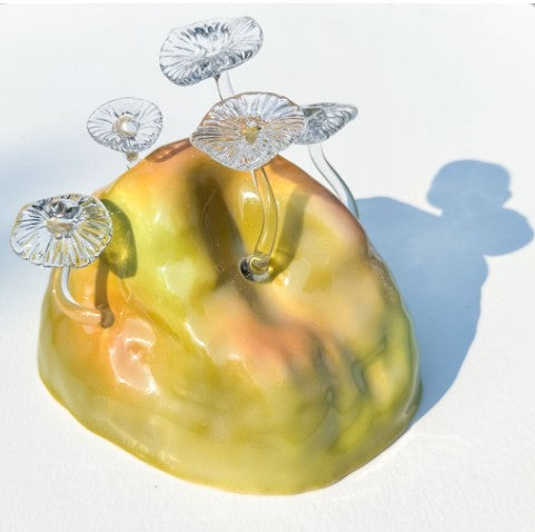 Amanda Woodstock | Modern Science Project | BIMA Museum Store