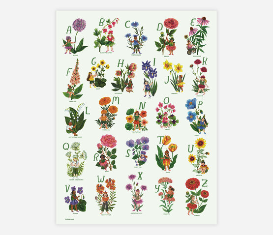 Flower Fairies Alphabet Poster by Phoebe Wahl | BIMA Museum Store