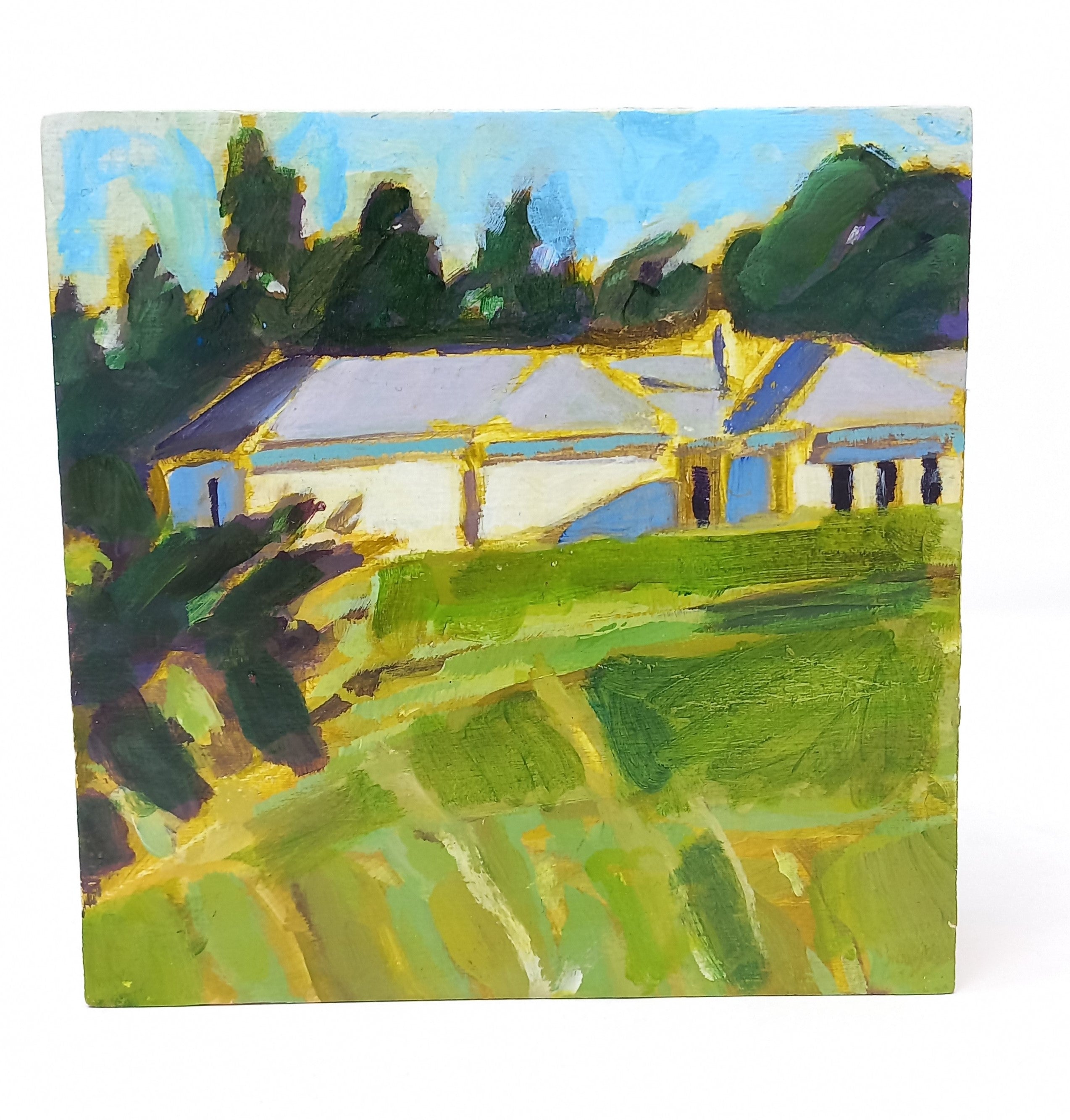 Field And Structure by Lisa Snow Lady | BIMA Museum Store